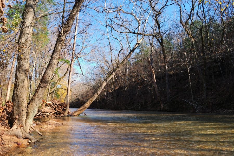 Photo gallery: Busiek State Forest and Wildlife Area - Ozarks Walkabout