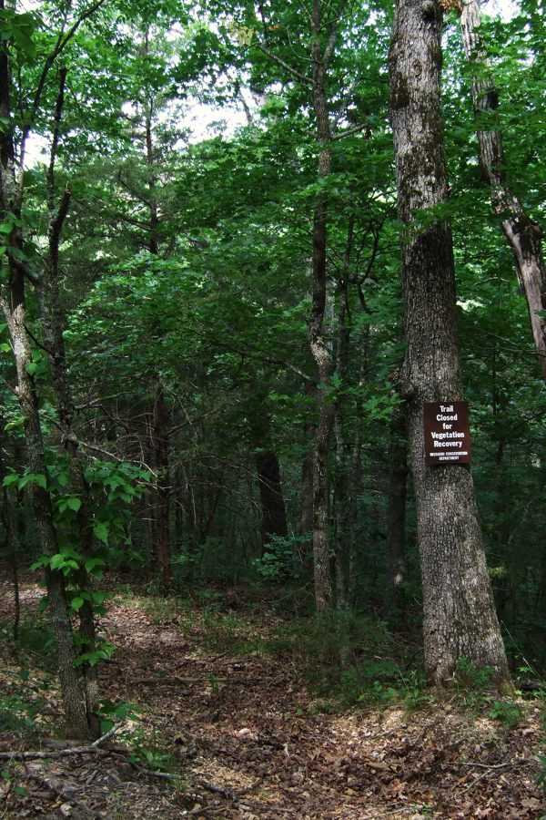 Photo gallery: Busiek State Forest and Wildlife Area - Ozarks Walkabout