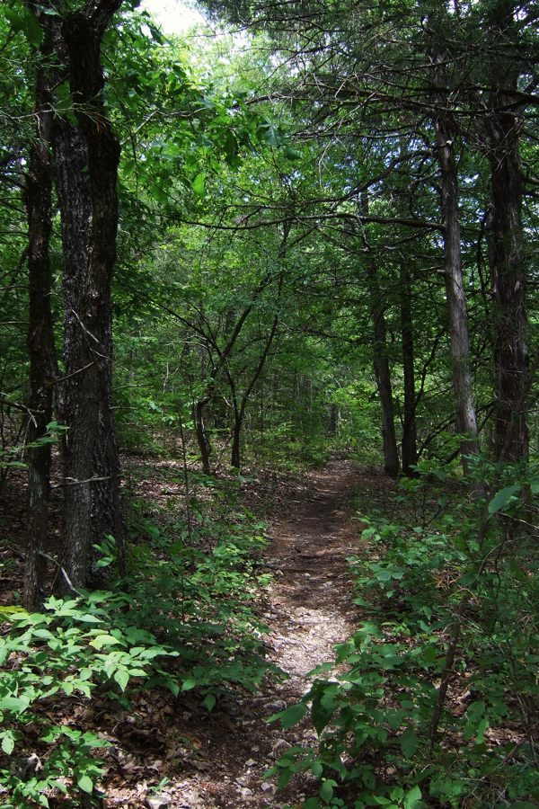 Photo gallery: Busiek State Forest and Wildlife Area - Ozarks Walkabout