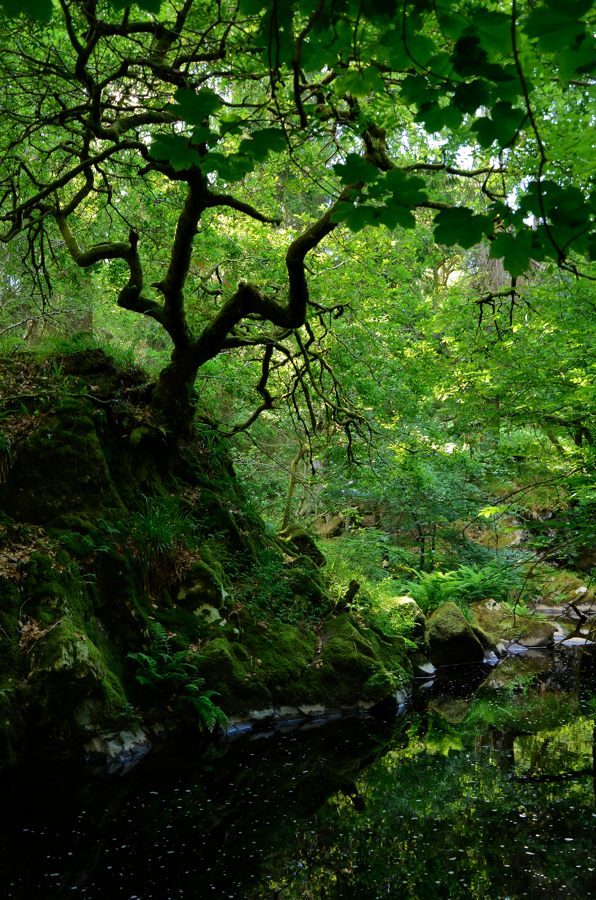 Photo gallery: Camping and backpacking in Scotland, 2011 - Ozarks Walkabout