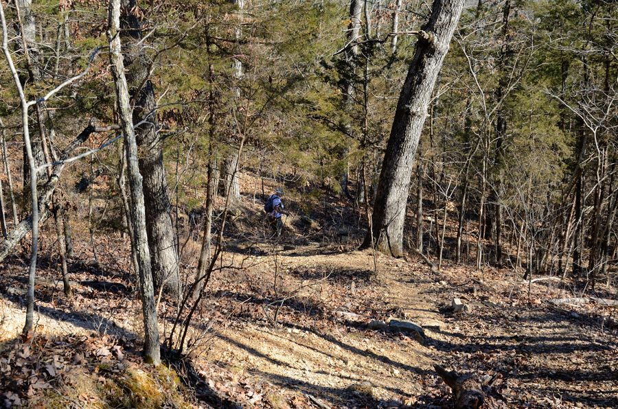 Photo gallery: Busiek State Forest and Wildlife Area - Ozarks Walkabout
