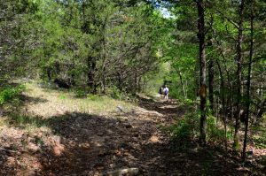 Photo gallery: Busiek State Forest and Wildlife Area - Ozarks Walkabout