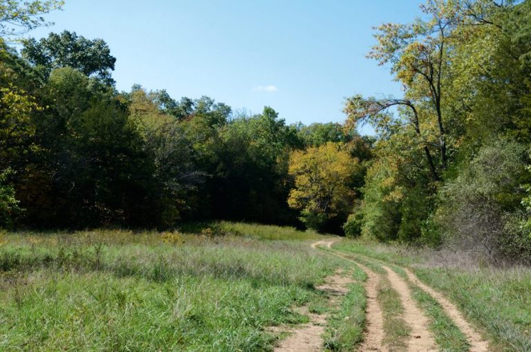 Photo gallery: Busiek State Forest and Wildlife Area - Ozarks Walkabout