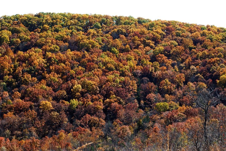 Glade Top Trail - Mark Twain National Forest - Taney County & Ozark ...