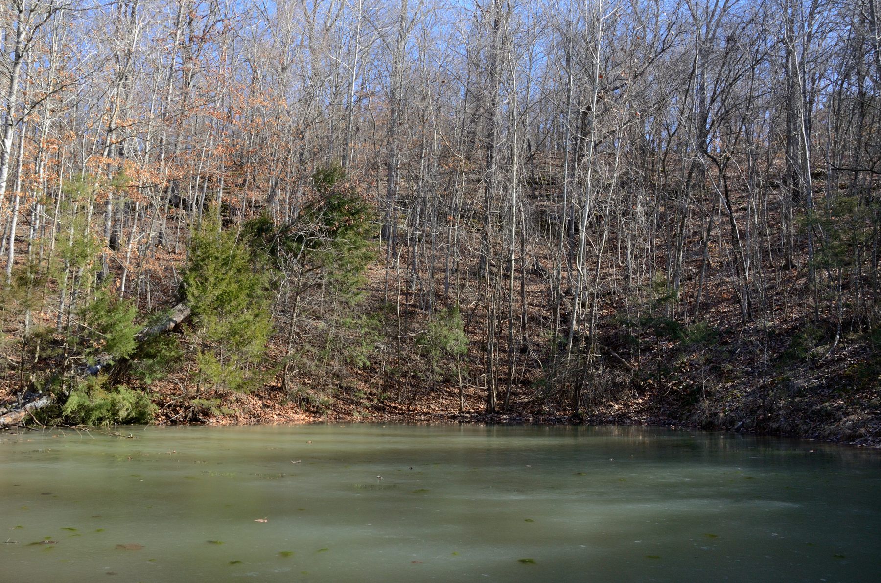 Winter Hike on the Silver Trail at Busiek - Ozarks Walkabout