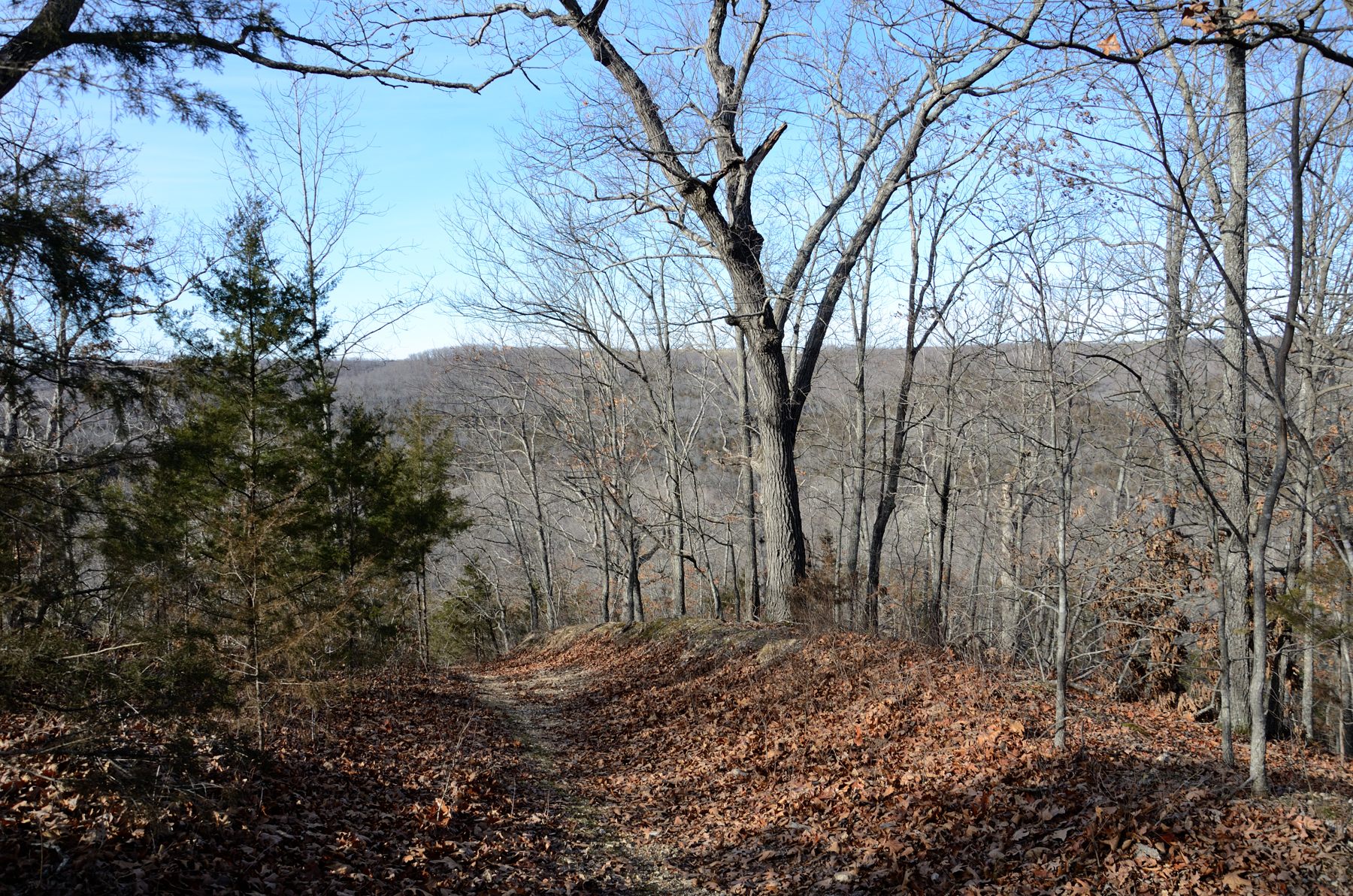 Busiek State Forest and Wildlife Area Tagged - Ozarks Walkabout