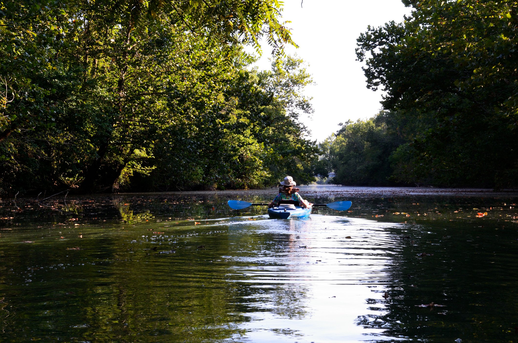 Late Afternoon Paddle on the James River Above Lake Springfield ...