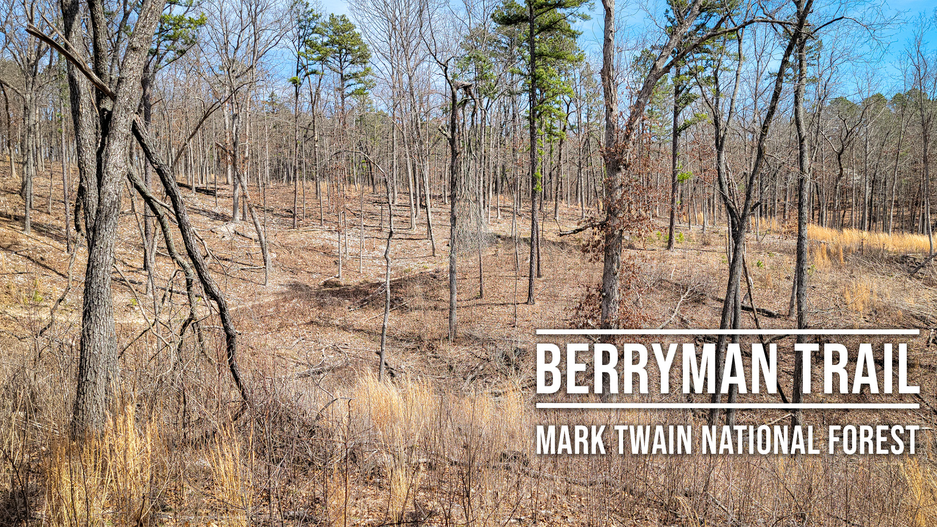 Berryman Trail, Missouri, Revisited, March 2024 - Ozarks Walkabout